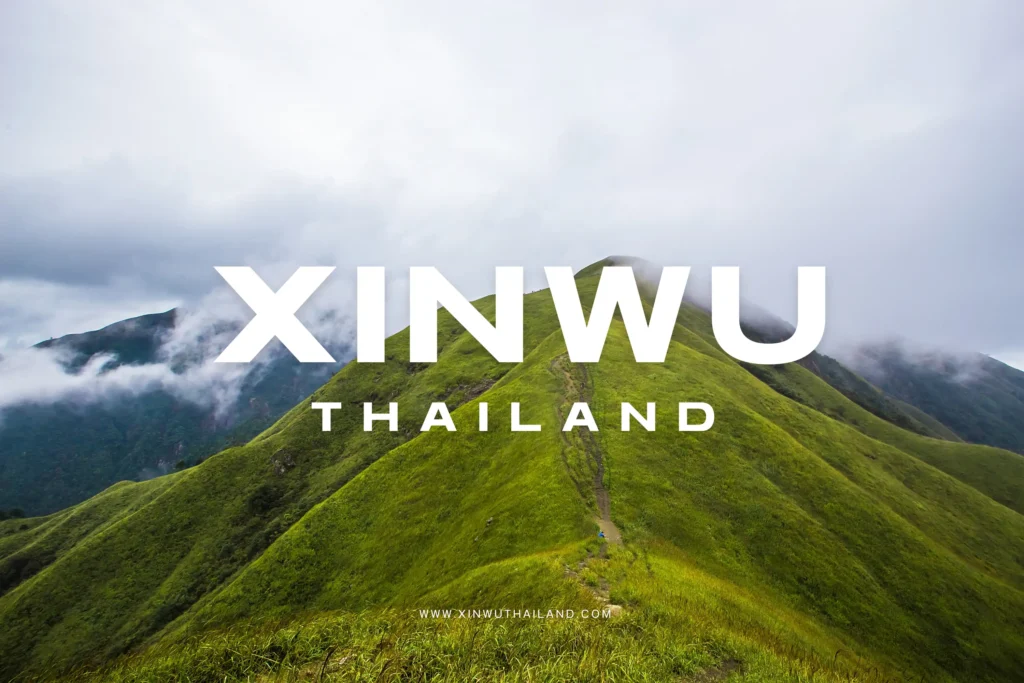 เกี่ยวกับเรา - Xinwu Thailand